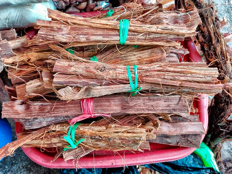 Zdrowie i natura w Peru, kto słyszał o vilcakorze?