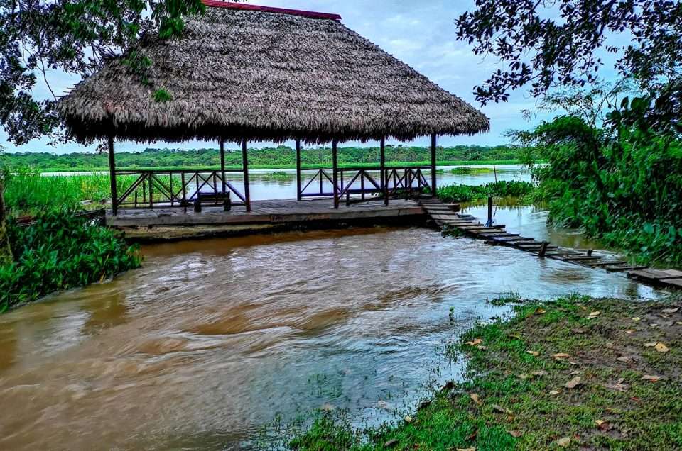 ? Amazon River in Iquitos - Explore the Amazon Jungle